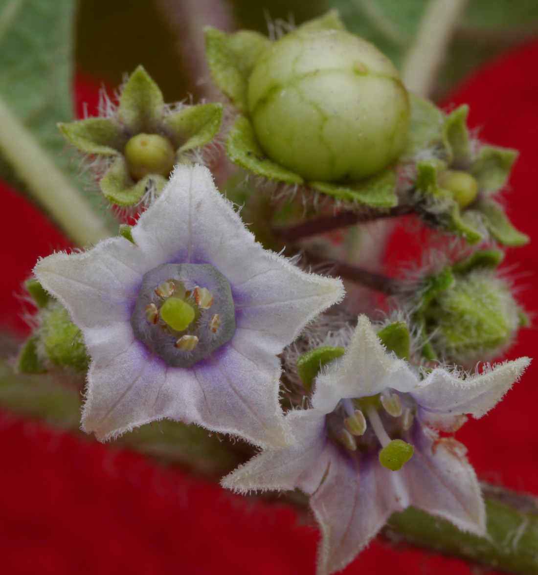 Untitled Document [sites.ccsu.edu]